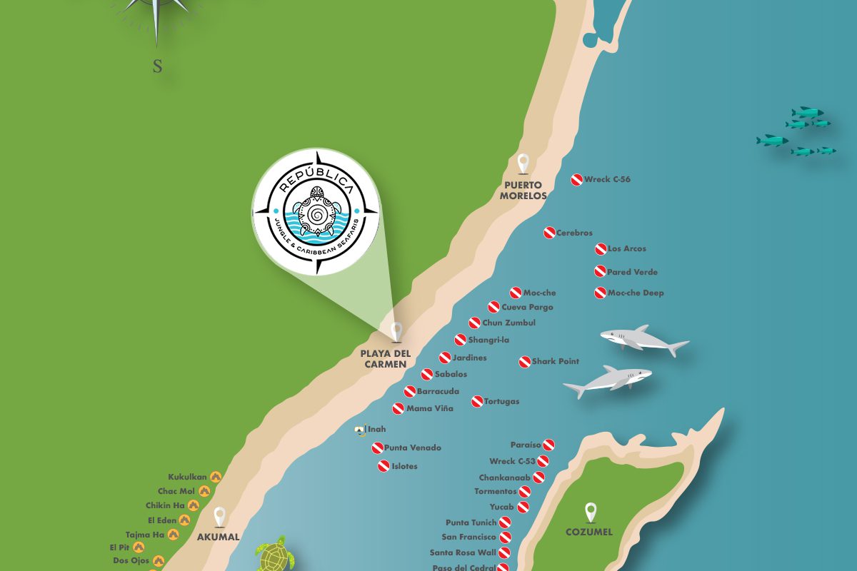 ¿Qué nos ofrece la Riviera Maya? Mejores puntos de buceo - República Diving